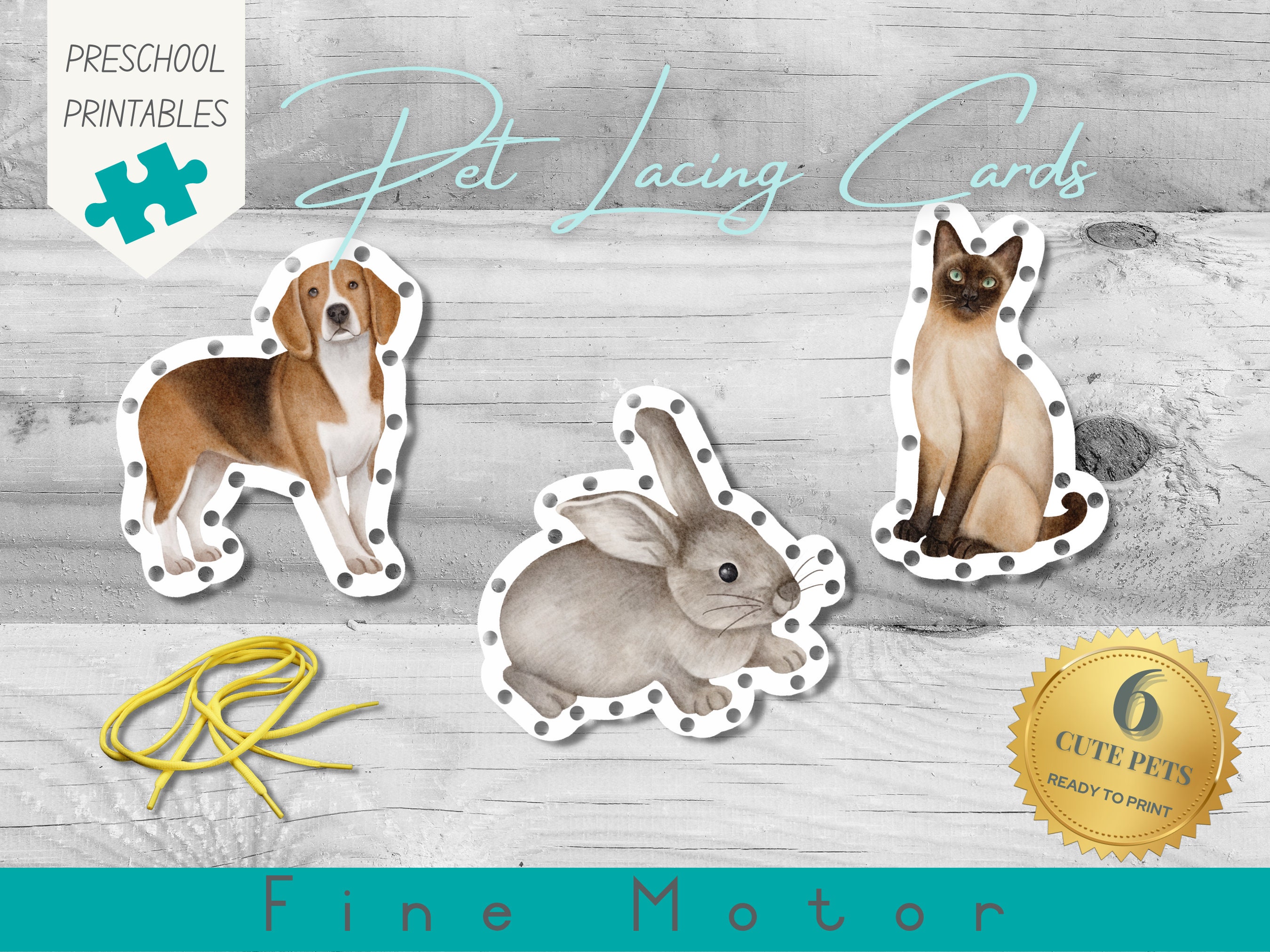 Pets Lacing Card Activity | Preschool & Homeschool | Montessori | Fine ...