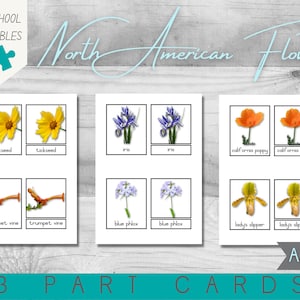 North American Flowers | Montessori Continents Preschool Activity | 12 ...