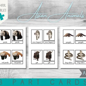 Asian Animals | Montessori Continents | 3 Part Cards | PDF Printable - Etsy