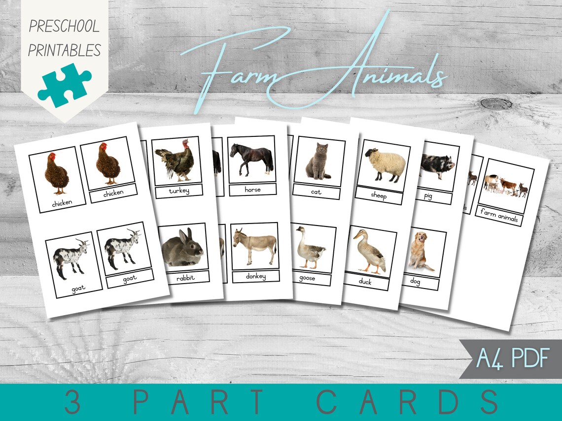 Farm Animals 3 Part Cards PDF Printable - Etsy