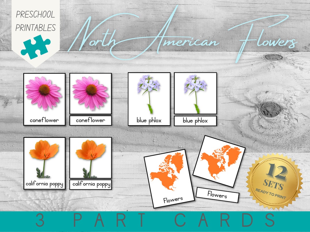 North American Flowers | Montessori Continents Preschool Activity | 12 ...