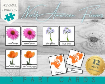 Montessori Continents | 3 Part Cards | PDF Printable - Etsy