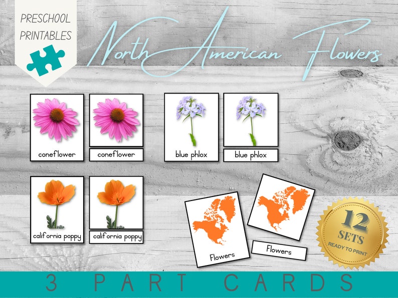 North American Flowers | Montessori Continents Preschool Activity | 12 ...