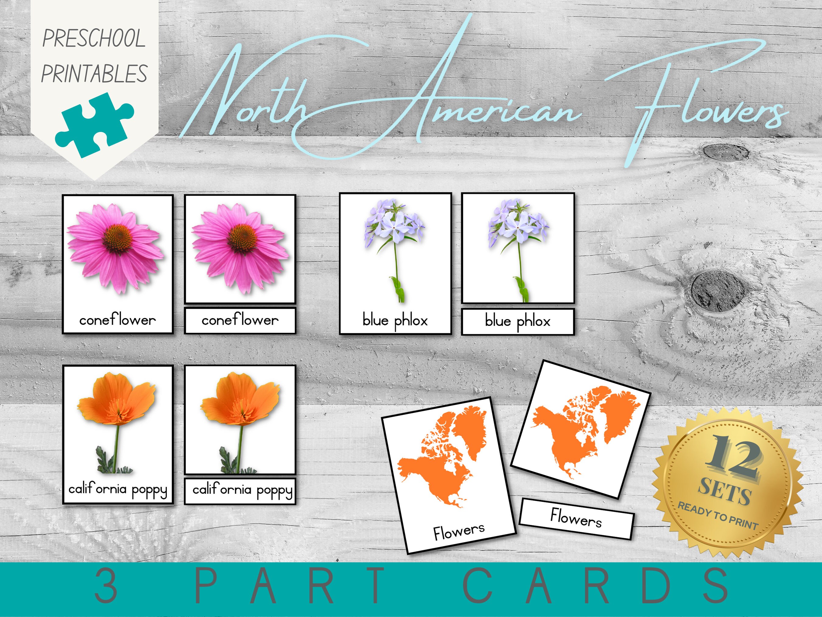 North American Flowers | Montessori Continents Preschool Activity | 12 ...