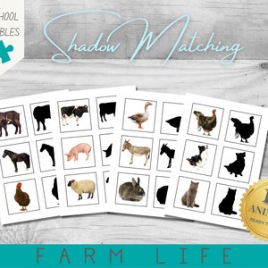 Farm Theme Bundle | Preschool and Homeschool Activities | Colouring ...