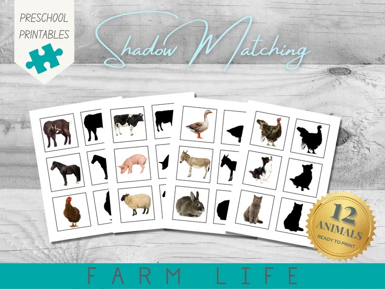 Farm Theme Bundle | Preschool and Homeschool Activities | Colouring ...