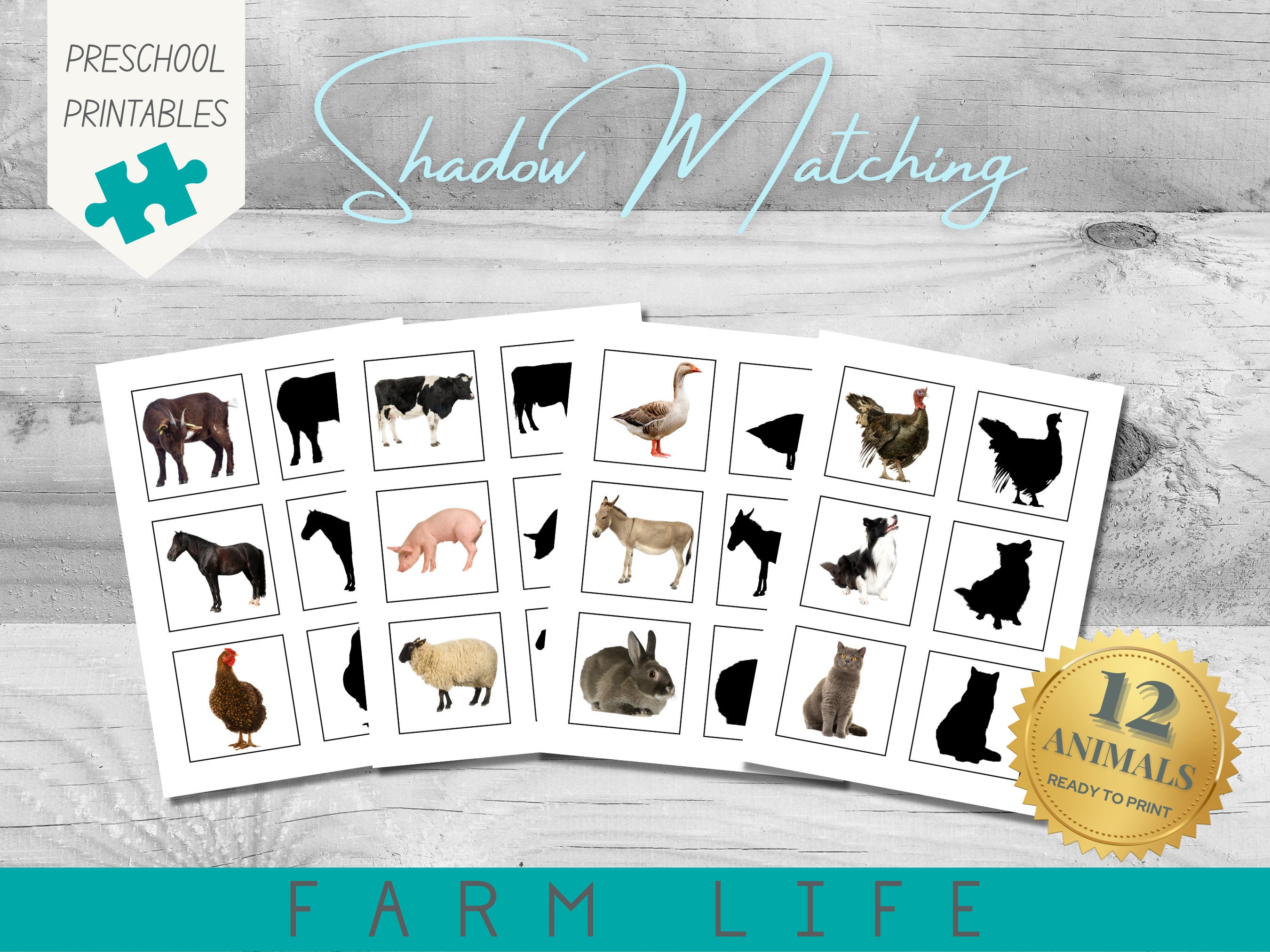 Farm Theme Bundle | Preschool and Homeschool Activities | Colouring ...