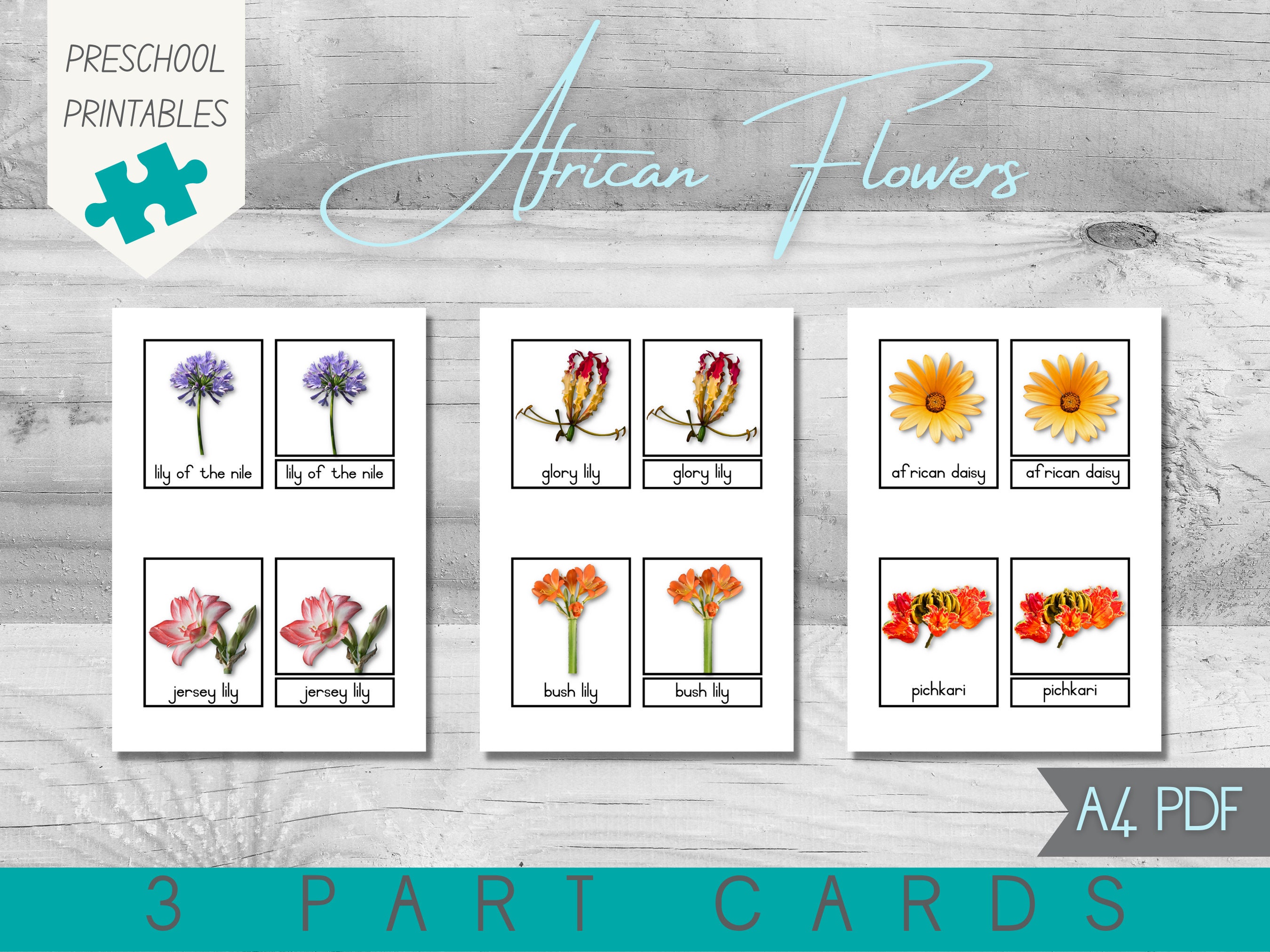African Flowers | Montessori Continents Preschool Activity | 12 Sets ...