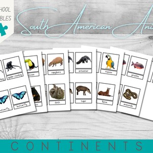 Montessori Continents | Animals of the World Bundle | Matching Cards ...