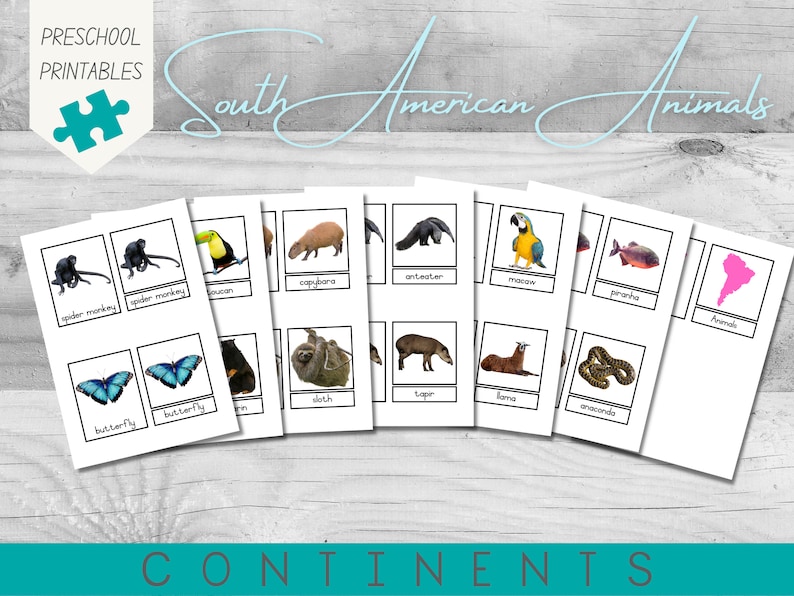 Montessori Continents | Animals of the World Bundle | Matching Cards ...