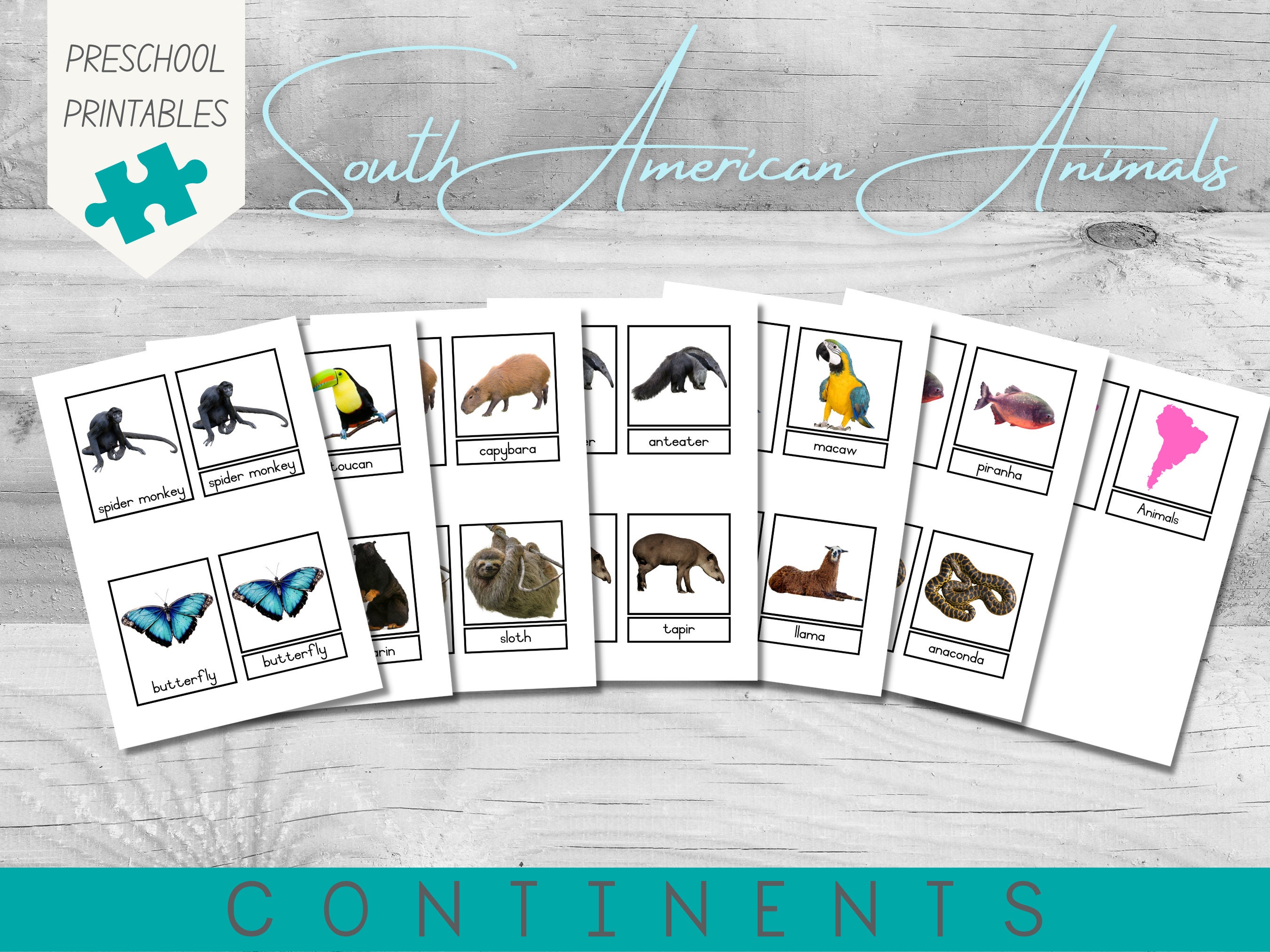 Montessori Continents | Animals of the World Bundle | Matching Cards ...