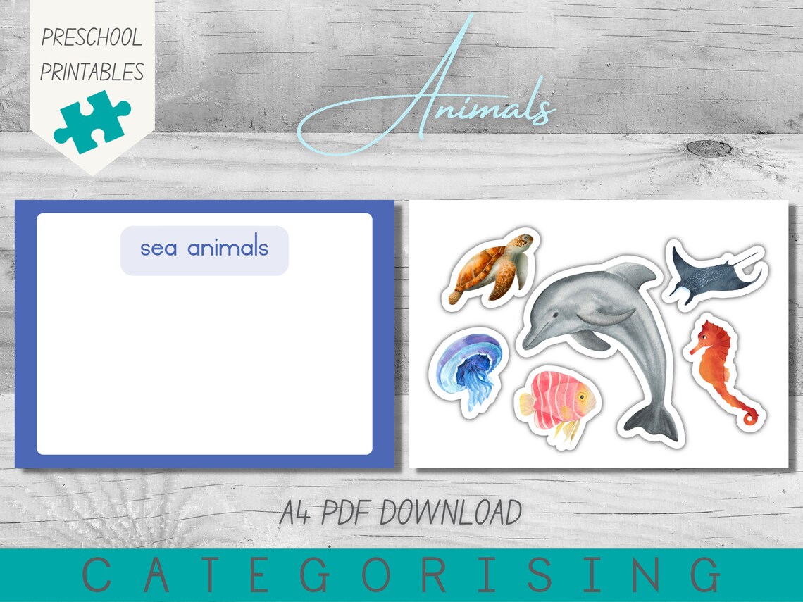 Animal Categorising and Sorting Activity | Early Learning | Sea Animals ...