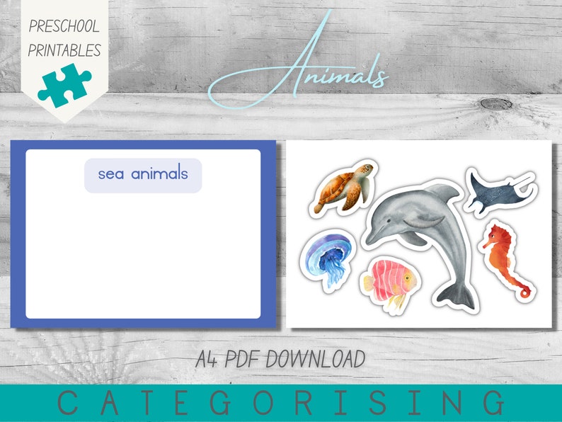 Animal Categorising and Sorting Activity | Early Learning | Sea Animals ...