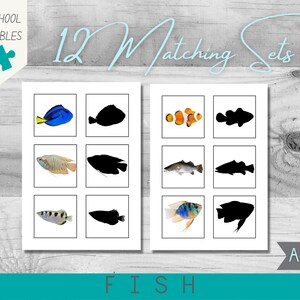 Fish Shadow Matching Preschool Activity | 12 Sets | 24 Cards | High ...