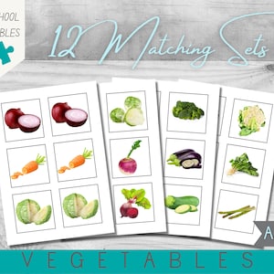 Vegetable Matching Preschool Activity | 12 Sets | 24 Cards | High ...
