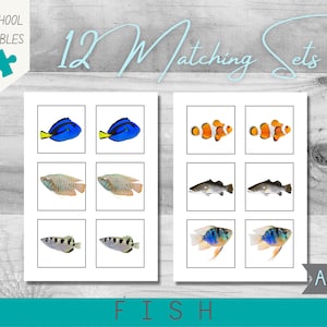 Fish Matching Preschool Activity | 12 Sets | 24 Cards | High Resolution ...