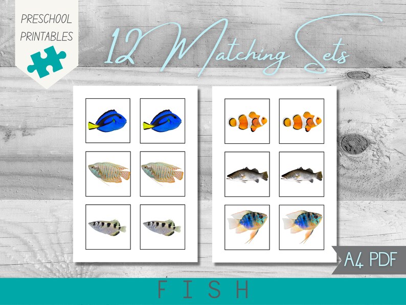 Fish Matching Preschool Activity | 12 Sets | 24 Cards | High Resolution ...