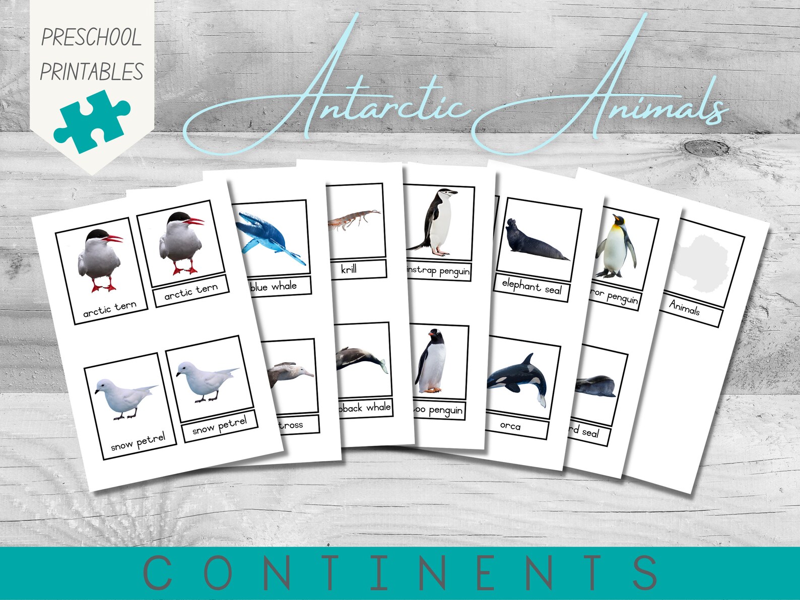 Montessori Continents | Animals of the World Bundle | Matching Cards ...