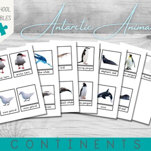 Montessori Continents | Animals of the World Bundle | Matching Cards ...