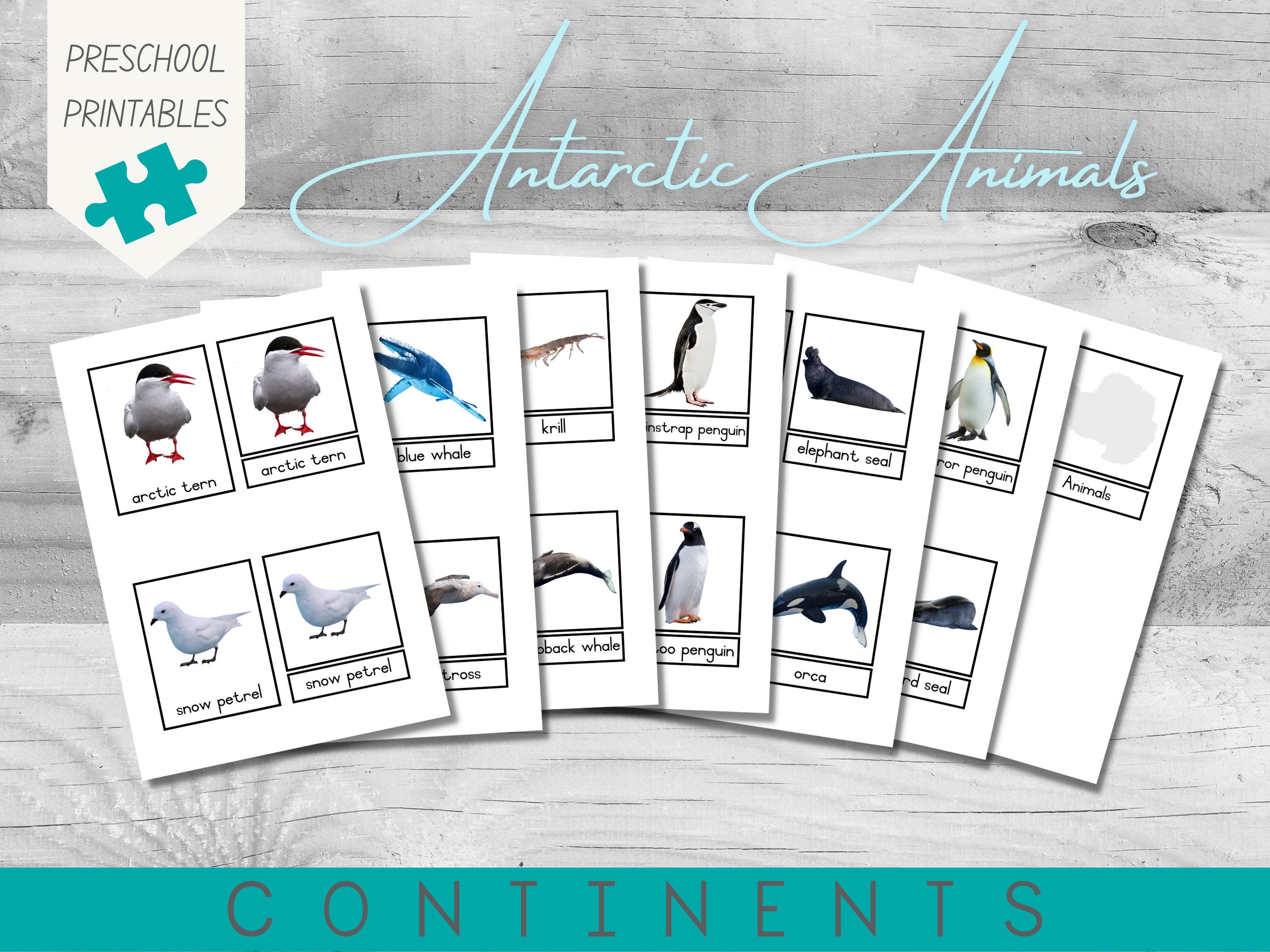 Montessori Continents | Animals of the World Bundle | Matching Cards ...