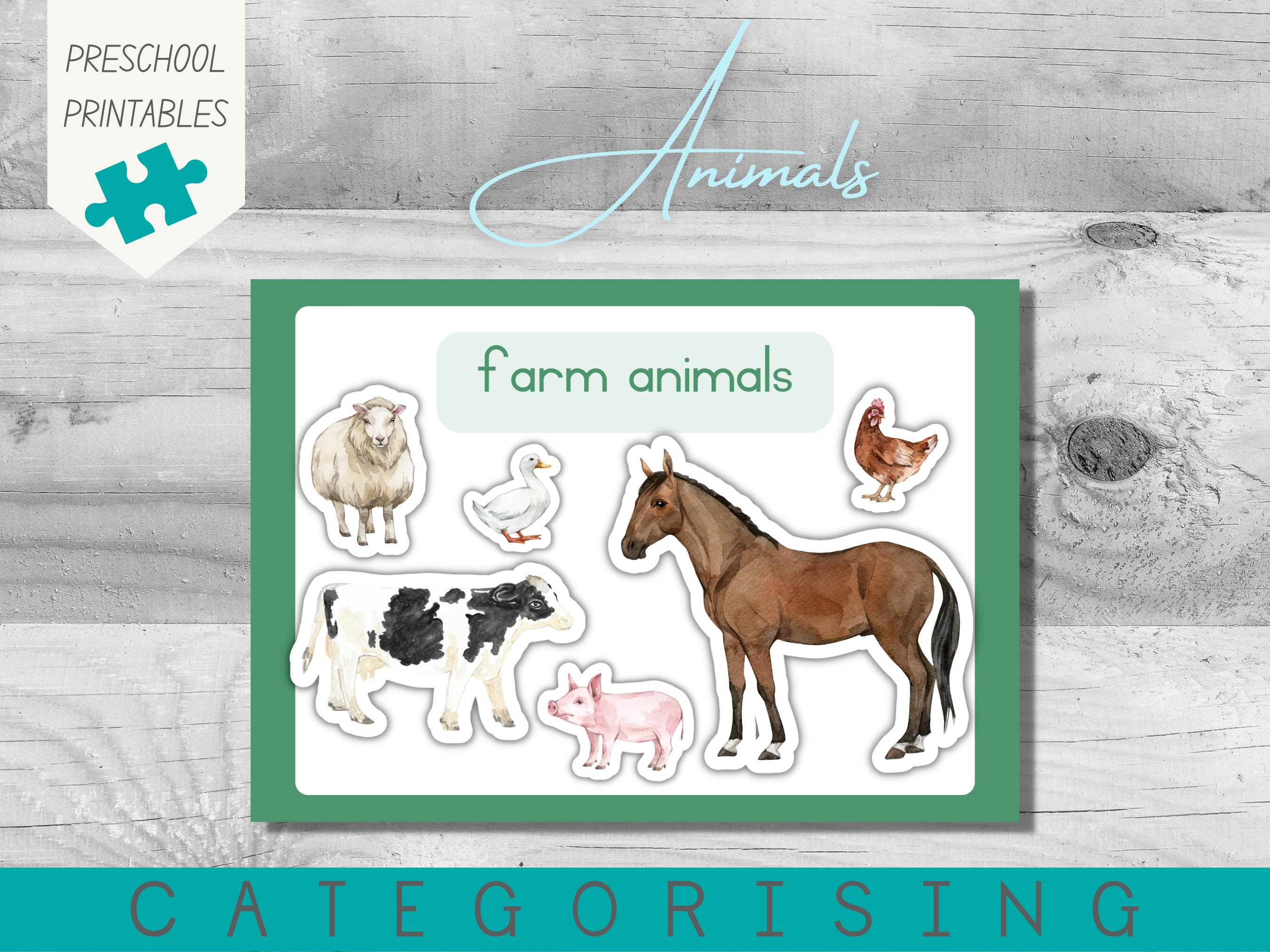 Animal Categorising and Sorting Activity | Early Learning | Sea Animals ...