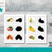 Fruit Shadow Matching Preschool Activity | 12 Sets | 24 Cards | High ...