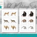 African Animal Matching Cards | 12 Sets | PDF Printable - Etsy