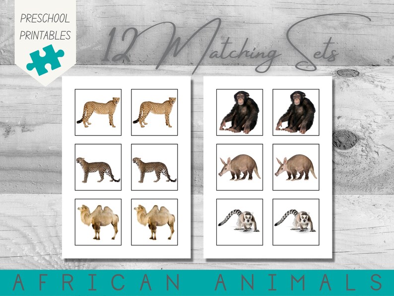 African Animal Matching Cards | 12 Sets | PDF Printable - Etsy