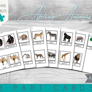 African Animals | Montessori Continents | 12 Sets | 3 Part Cards | PDF ...