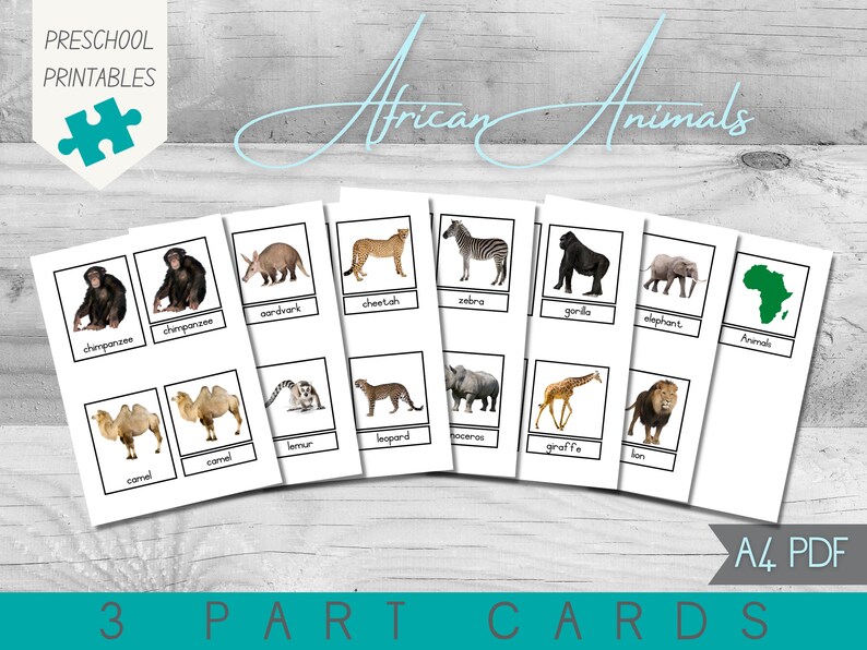 African Animals | Montessori Continents | 12 Sets | 3 Part Cards | PDF ...