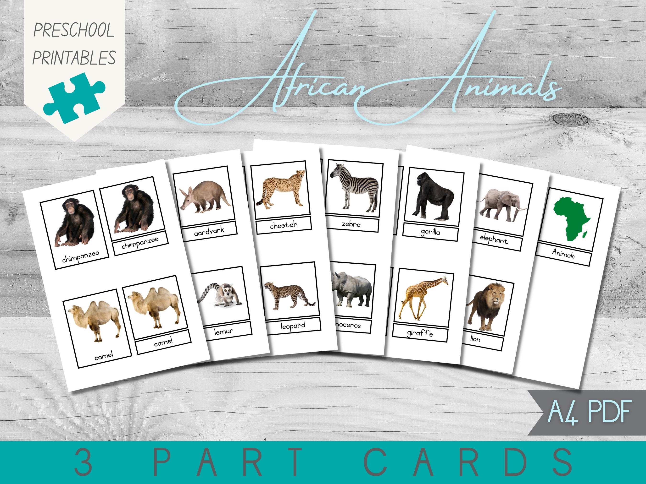 African Animals | Montessori Continents | 12 Sets | 3 Part Cards | PDF ...