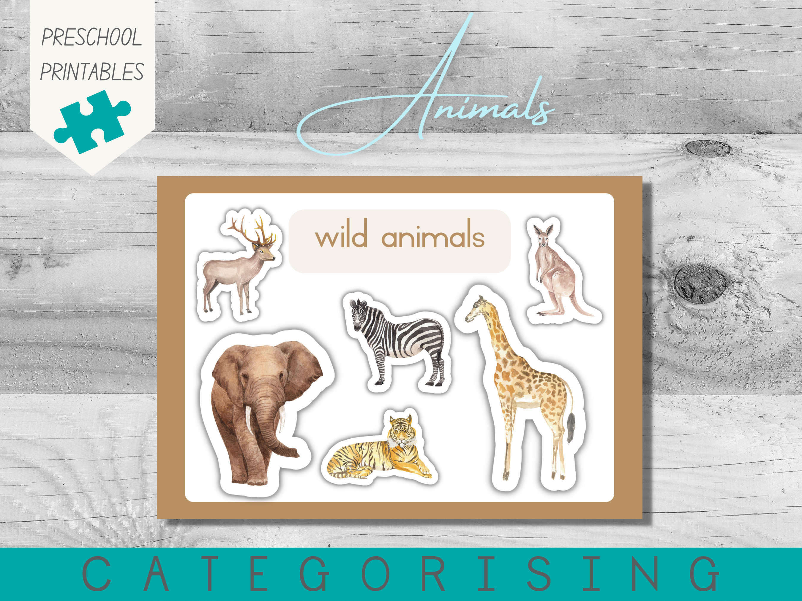 Animal Categorising and Sorting Activity | Early Learning | Sea Animals ...