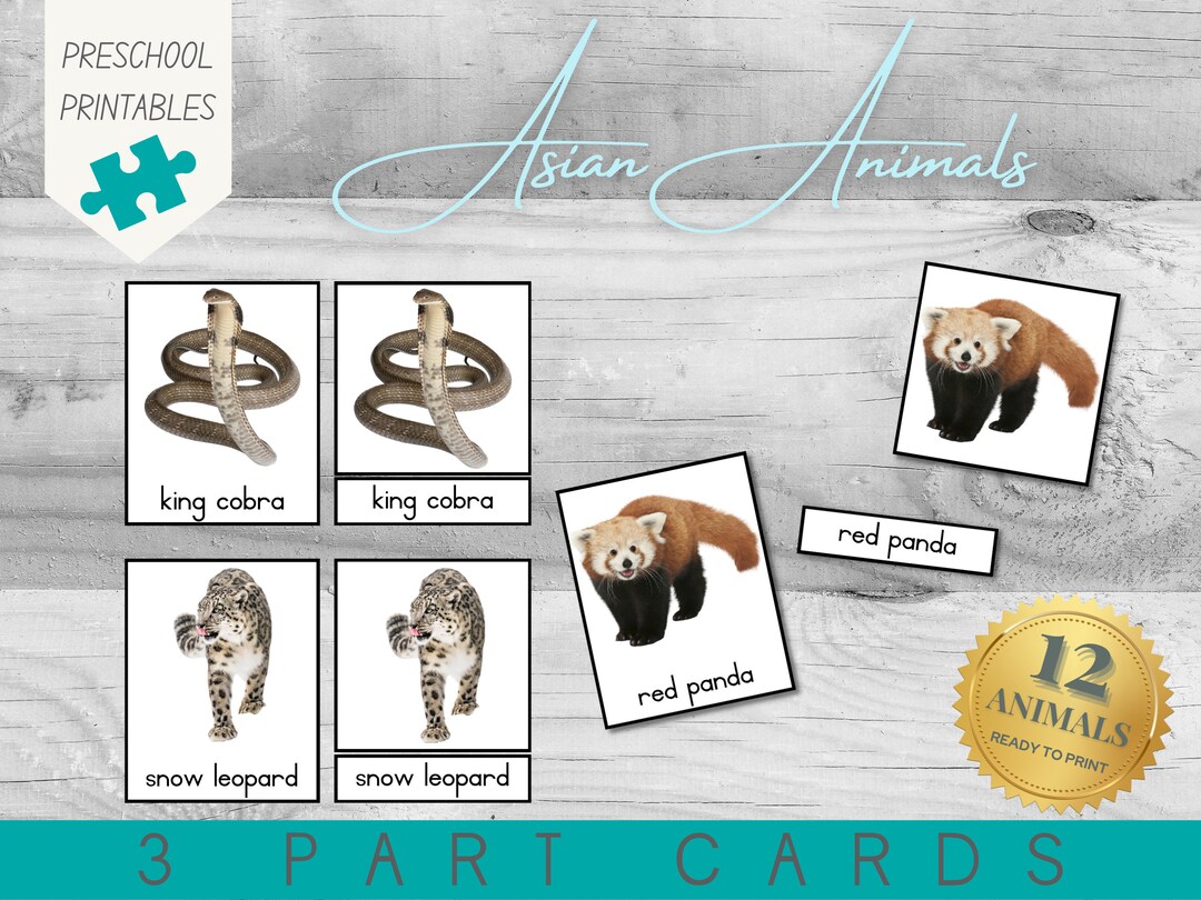 Asian Animals | Montessori Continents | 3 Part Cards | PDF Printable - Etsy
