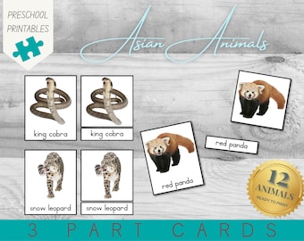 Montessori Continents 3 Part Cards PDF Printable | Etsy