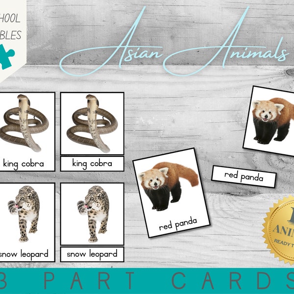 Australian Animals Montessori Continents 12 Animals 3 Part Cards PDF ...