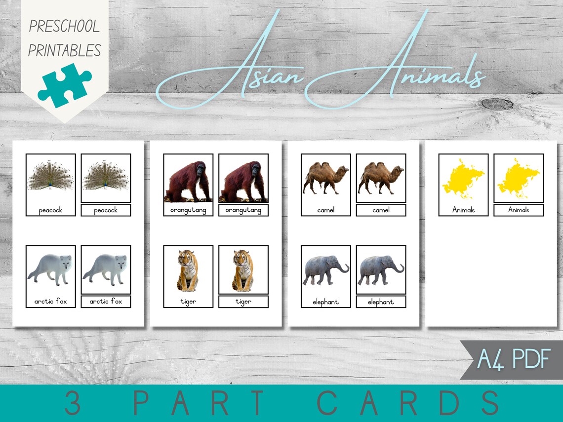 Asian Animals | Montessori Continents | 3 Part Cards | PDF Printable - Etsy