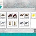 Asian Animals | Montessori Continents | 3 Part Cards | PDF Printable - Etsy