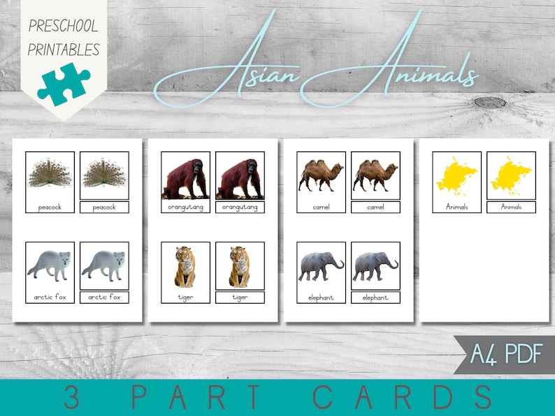 Asian Animals | Montessori Continents | 3 Part Cards | PDF Printable - Etsy