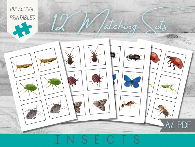 Insect Matching Preschool Activity | 12 Sets | 24 Cards | High ...