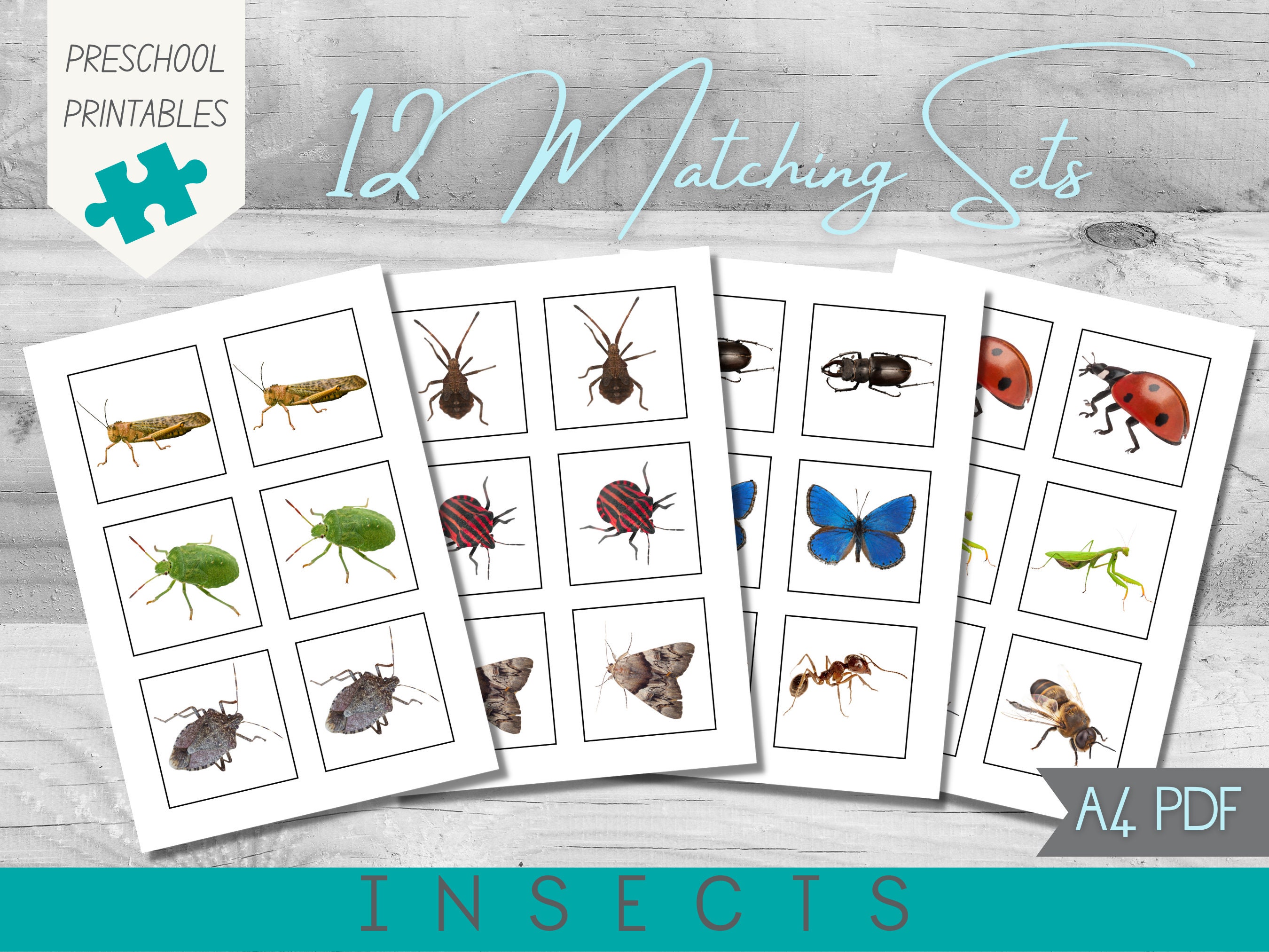 Insect Matching Preschool Activity | 12 Sets | 24 Cards | High ...