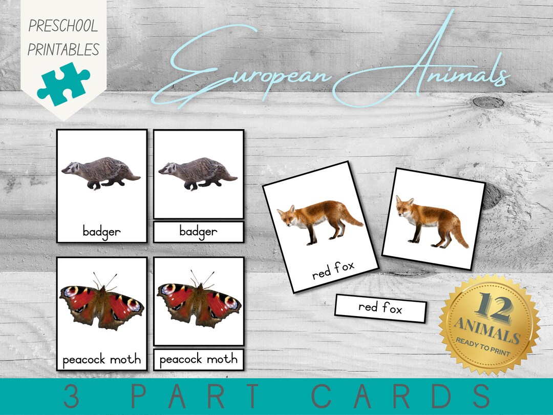 European Animals | Montessori Continents | 12 Sets | 3 Part Cards | PDF ...