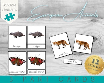 Montessori Continents 3 Part Cards PDF Printable | Etsy