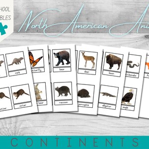 Montessori Continents | Animals of the World Bundle | Matching Cards ...