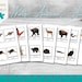 Montessori Continents | Animals of the World Bundle | Matching Cards ...