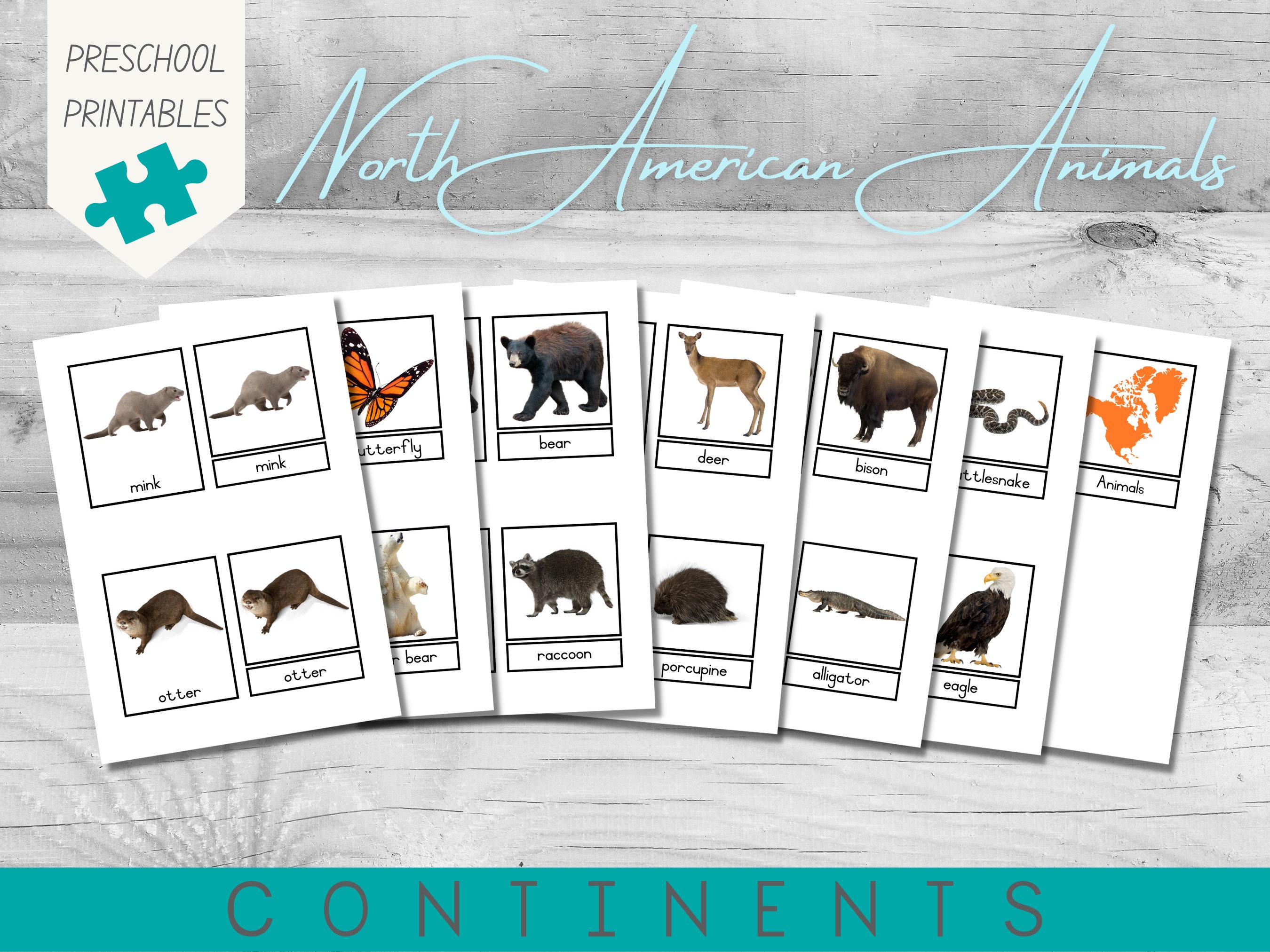 Montessori Continents | Animals of the World Bundle | Matching Cards ...