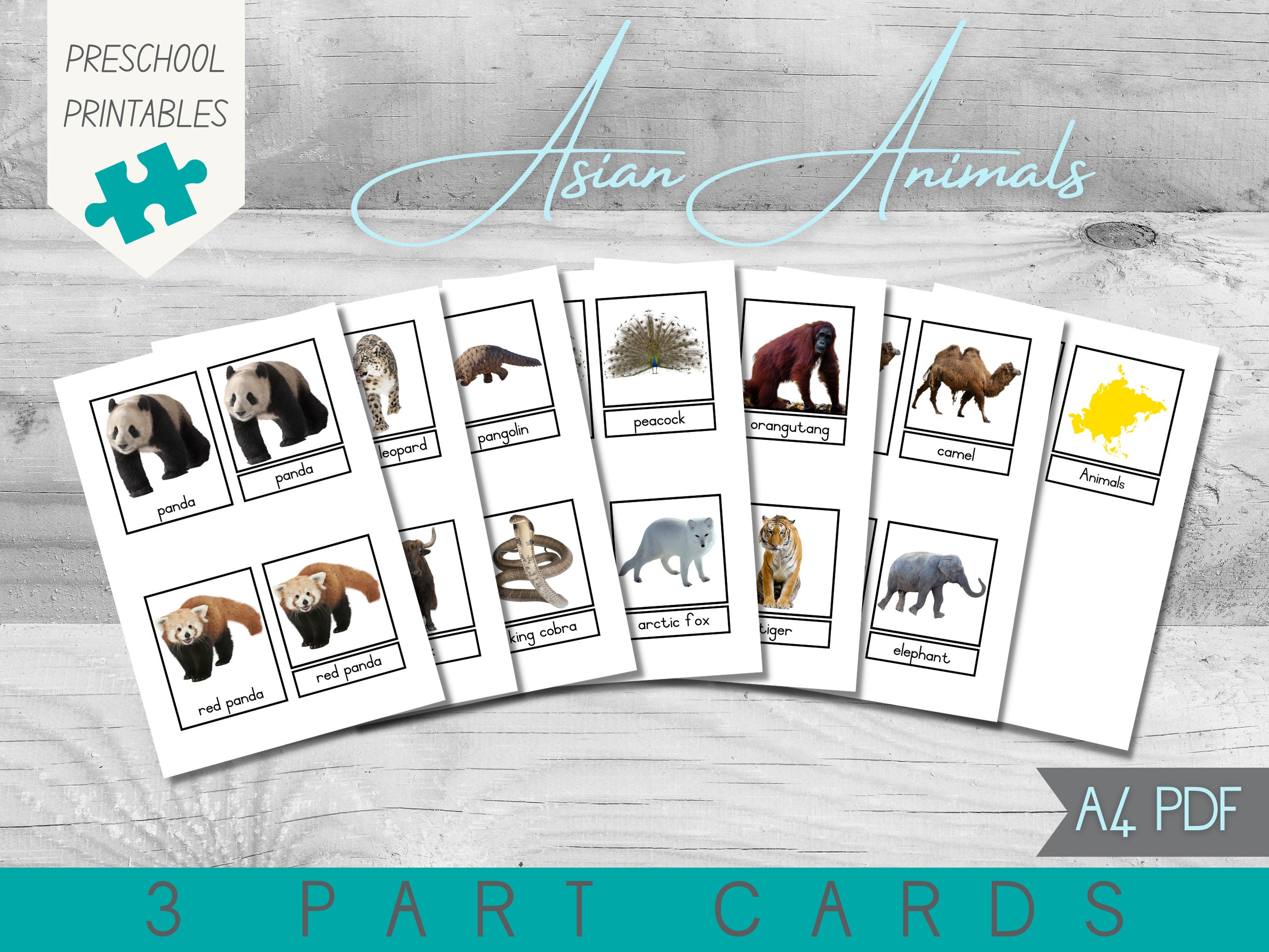 Asian Animals | Montessori Continents | 3 Part Cards | PDF Printable - Etsy