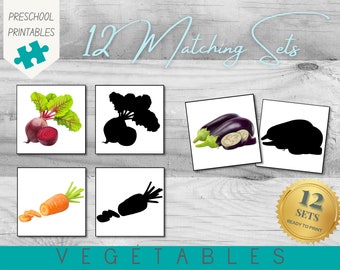 Fish Shadow Matching Preschool Activity 12 Sets 24 Cards High ...