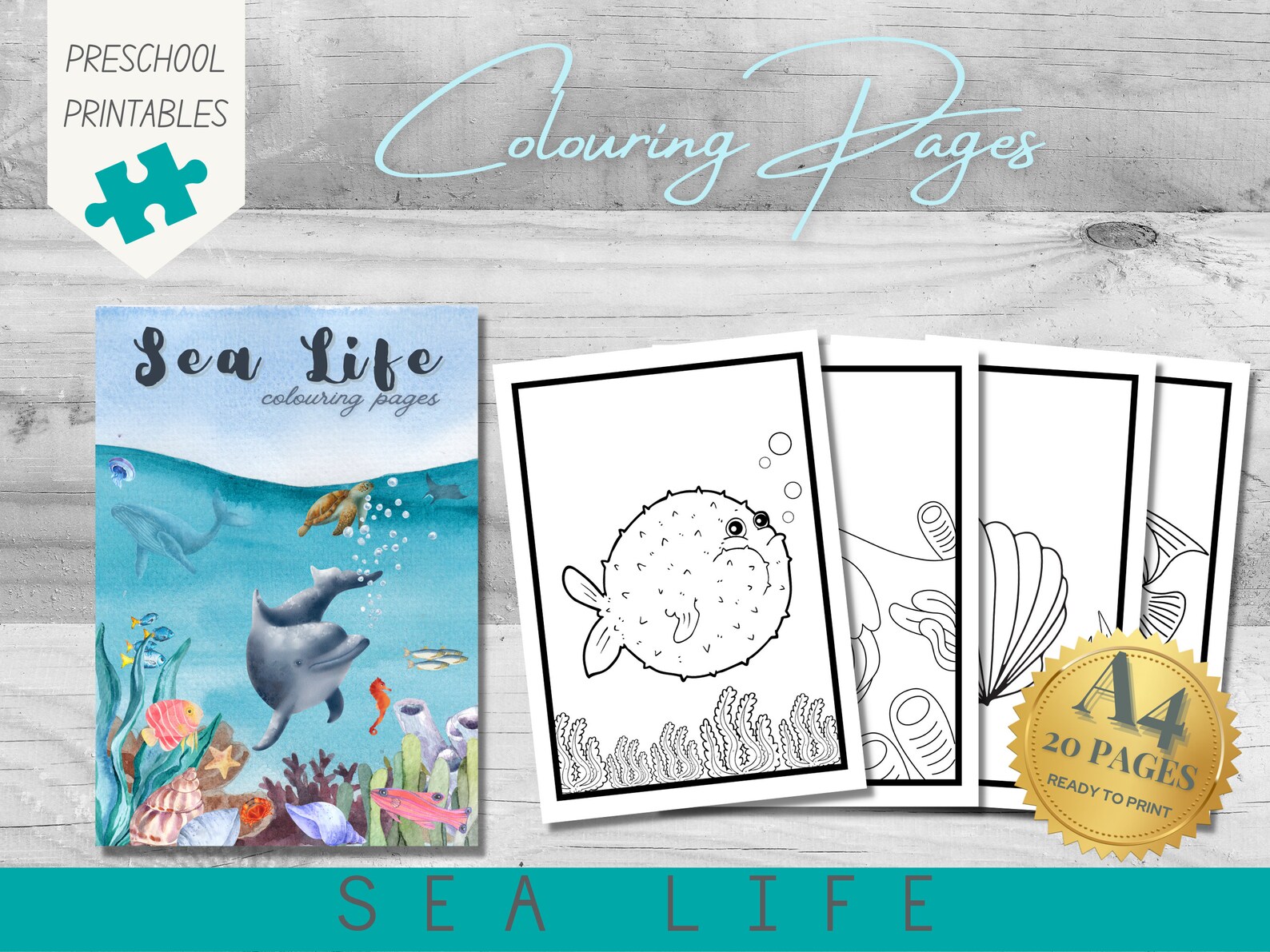 Sea Life Colouring Pages | Preschool Activity | Home & School | Ocean ...