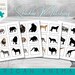 African Animal Shadow Matching Cards | 12 Sets | PDF Printable - Etsy