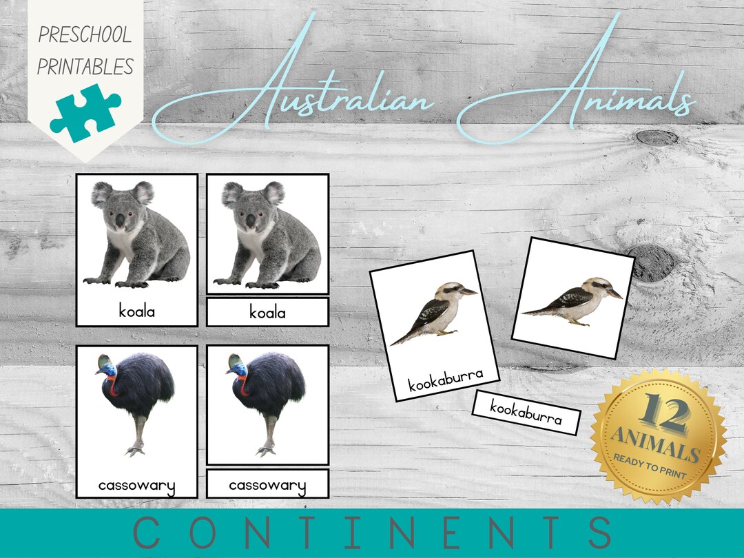 Australian Animals | Montessori Continents | 12 Animals | 3 Part Cards ...